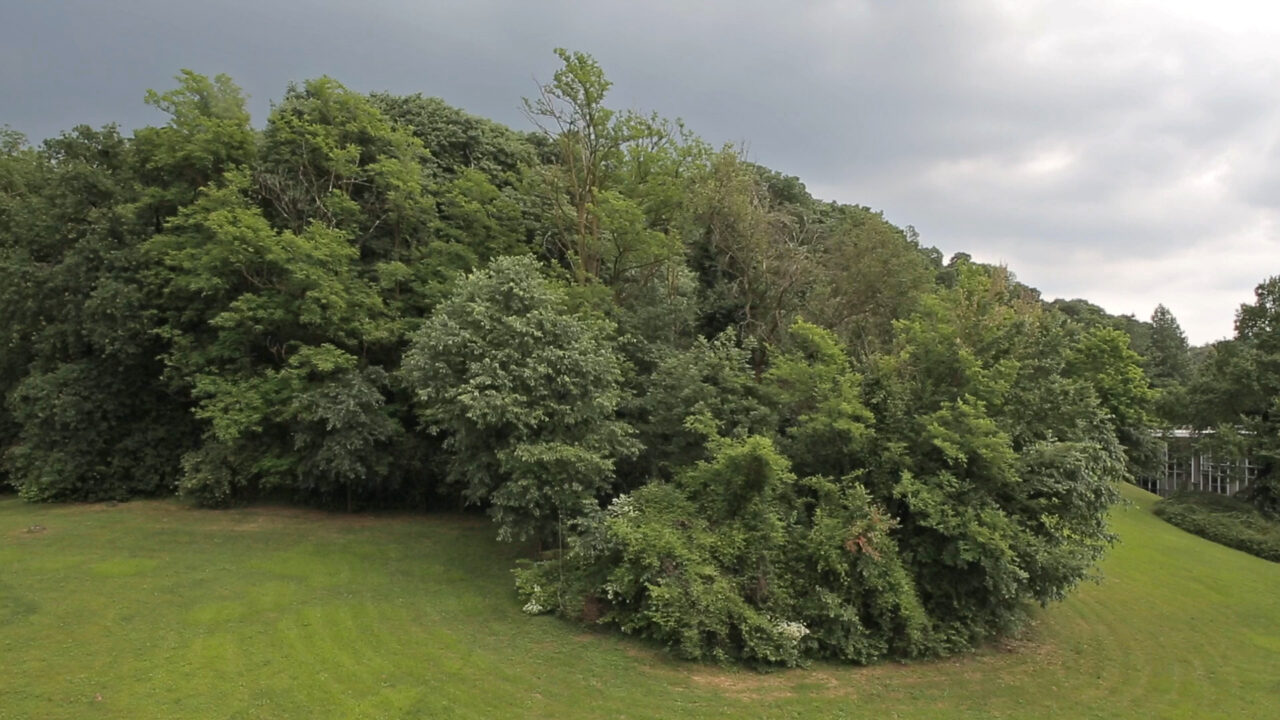 TLP Poster 02 – archvideo